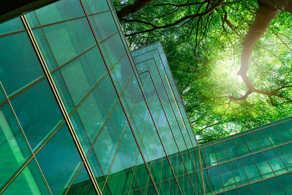 Triton-backed OCU Group acquires Opals